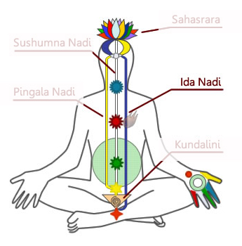 Canale sinistro o Ida Nadi – Sahaja Yoga