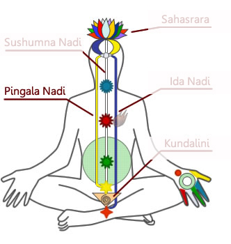 Canale destro o Pingala Nadi – Sahaja Yoga
